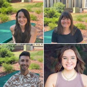 Internship Opportunities – David Hoy and Associates